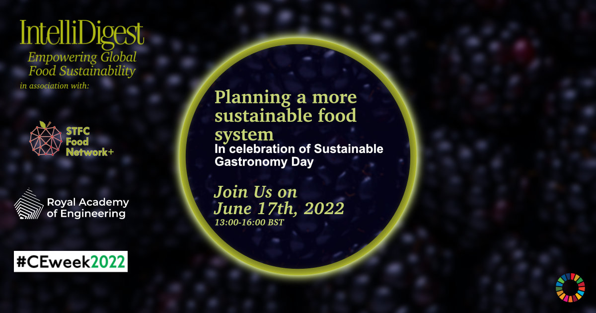 Planning a more sustainable food system - IntelliDigest