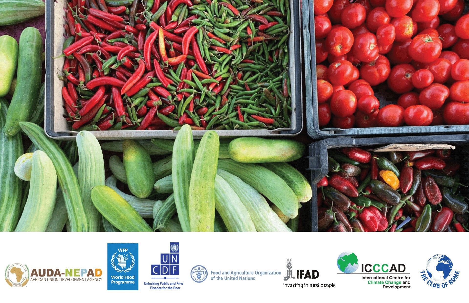 YOUTH DIALOGUE ON RESILIENT LOCAL FOOD SUPPLY CHAINS - IntelliDigest