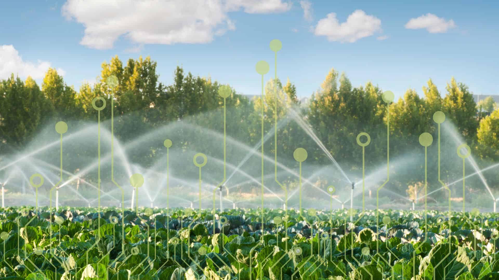 Engineering in the food system: A responsible role - IntelliDigest